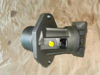 China R902137869 A2FE107/61W-VZL100 Rexroth Fixed Plug In Motor for sale