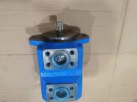 China Vickers Vane 313459-3 25M55A-11C20 High Speed Vane Motors for sale