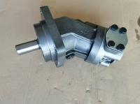 China Rexroth A2FO45 Series R902230058 A2FO45/61R-VPB05 Axial Piston Fixed Pump for sale