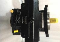 China R992000198 A4VG28DA1D2/32R-NZC10F015DH-S Axial Piston Variable Pump AA4VG Series 32 for sale
