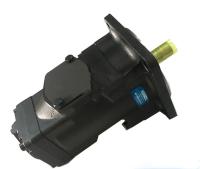 China 024-93900-0 T6EES-M42-M42-3R00-A10-00 Parker Denison T6EE T6EES Fixed Displacement Vane Pump for sale