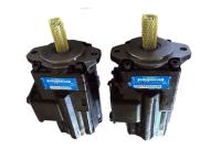 China 024-91903-0/03 Parker Denison Hydraulic Pumps T6EES-M66-M50-1L03-A12-00 T6EE T6EES for sale