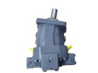 China Rexroth R909610709 A6VM55DA2/63W-VAB020B A6VM55 Series Axial Piston Variable Motor for sale