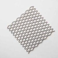China XS-61 Fluorocarbon Carbon Steel Expanded Metal Mesh For Prison Fence for sale
