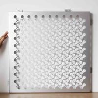 China Smooth Surface Fashionable Decorative Metal Screen Panels Corrosion Protection for sale