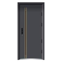 China New Modern Italy Design Hot Sale Metal Other Front Entry Door Cheap Price Exterior Steel Security Doors for Houses for sale