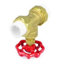 China General Brass PPR Gate Valve 2 Inch 4 Inch Normal Temperature for sale