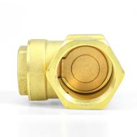 China DN32 DN15 Metal Connector Brass Horizontal Non Return Swing Check Valve for sale
