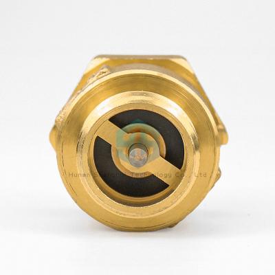 China Brass Spring Vertical Check Valve for Water Meter 1/2 to 4 Inch PN16 for sale