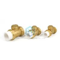 China Vertical PPR Double Union Non Return Valve for Water Meter Free Sample for sale
