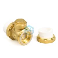 China Forged PPR Brass Swing Check Valve Horizontal Non Return 1/2 to 4 Inch PN16 for sale