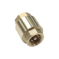 China Forged  Check Valve 1/4