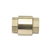 China Forged  Check Valve 1/4