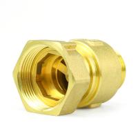 China Brass Vertical Check Valve Anti Air Rotation Female Male Thread 1/2 to 4 Inch PN16 for sale