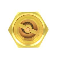 China Brass Vertical Check Valve Anti Air Rotation Female Male Thread 1/2 to 4 Inch PN16 for sale
