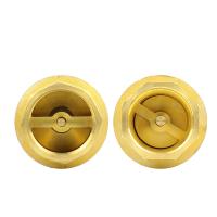China Brass Spring Check Valve 1/2 to 4 Inch Female Thread PN16 3 Years Warranty for sale