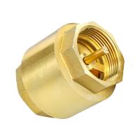 China Brass Spring Check Valve 1/2 to 4 Inch Female Thread PN16 3 Years Warranty for sale
