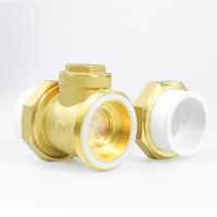 China 1/2in Female Thread Brass Horizontal Check Valve DN15 One Way Non Return Check Valve for sale
