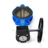 China Manual Electric Motorized Ductile Iron Wafer Butterfly Valve 2 Inch to 8 Inch for sale