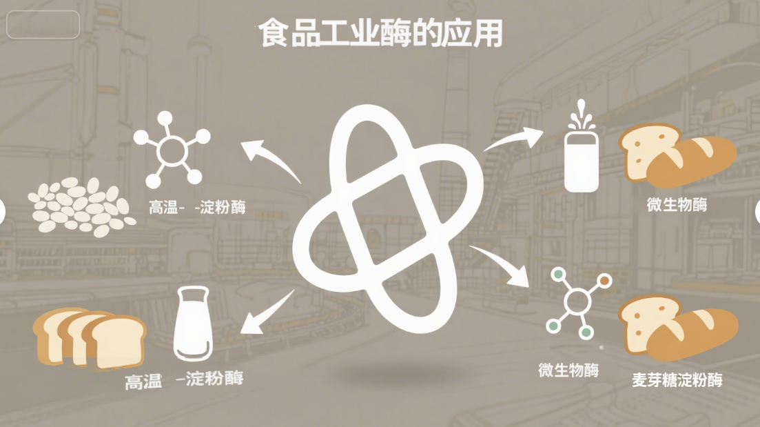Industrial enzymes in food production