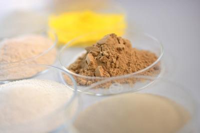 China Biogas Enzyme Powder Cellulase Hemicellulase 500g pH 5.0-9.0 for Increased Biogas Production for sale