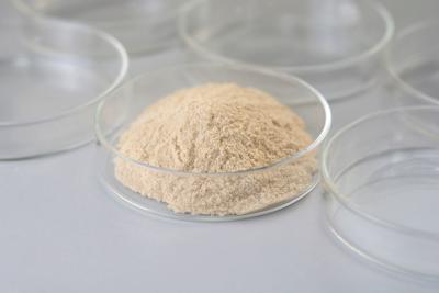 China Catalase Industrial Enzyme Powder & Liquid 50,000-1,000,000 U/g for Hydrogen Peroxide Removal in Textile & Paper Industries for sale