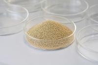 China Food Grade Immobilized Lipase Granule 4000U/G Enzyme for Lipid Processing - pH 5.0-8.0, 30-50℃ Range for sale