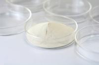 China Food Grade Lipase Enzyme for Bakery - 20kg Barrel Solid & 30L Liquid Options with 18 Month Shelf Life for sale