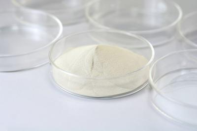 China Food Grade Lipase Enzyme for Bakery - 20kg Barrel Solid & 30L Liquid Options with 18 Month Shelf Life for sale