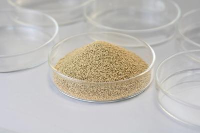 China High Reusability Immobilized Lipase Granule 4,000U/G for sale