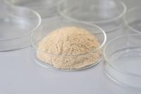 China Keratinase Industrial Enzyme Powder 10,000-200,000 U/g for Leather Processing & Cosmetics for sale