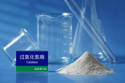 China Food Grade Catalase Enzyme Powder & Liquid - 50,000-100,000 U/g Activity, pH Range 5.5-11.5 for sale