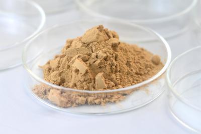 China 100000-800000U/G Bioenergy Enzyme Washing Lipase Powder and Liquid for Industrial Detergents for sale