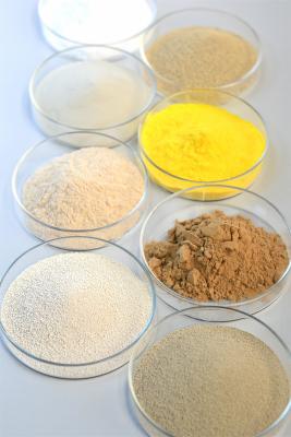 China Food additives Acid Protease for sale