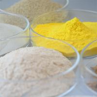 China Food Grade Alpha Galactosidase Enzyme 5000-20000 U/g for Food Processing for sale