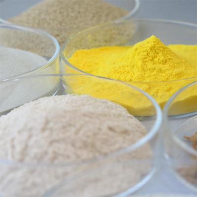 China Food Grade Alpha Galactosidase Enzyme 5000-20000 U/g for Food Processing for sale