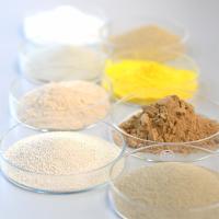 China Tanning Protease Powder 100,000-300,000 U/g for Leather Dehairing and Softening | pH 5.5-11.5 Range for sale