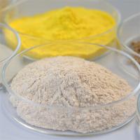 China Thermostable Alkaline Protease Industrial Enzyme Powder 200,000-300,000 U/g for Protein Hydrolysis for sale
