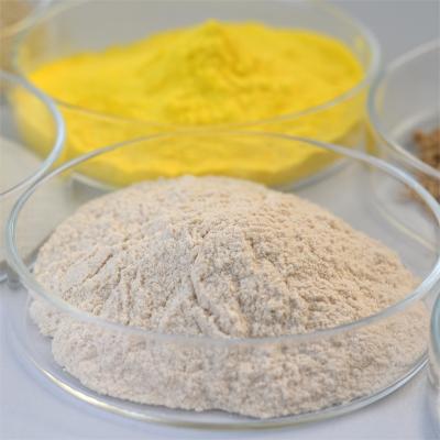 China Thermostable Alkaline Protease Industrial Enzyme Powder 200,000-300,000 U/g for Protein Hydrolysis for sale