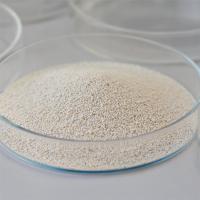 China Thermostable Alkaline Protease Powder Detergent Enzyme 200000-300000U/G for Industrial Applications for sale