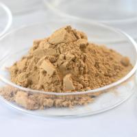 China Besthway Neutral Protease Industrial Enzyme Powder 50,000-100,000 U/g Activity for Feed and Leather Processing for sale