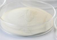 China BESTHWAY BXW22 Starch Enzyme Powder - 100,000 U/g Activity for Baking & Brewing Industries for sale