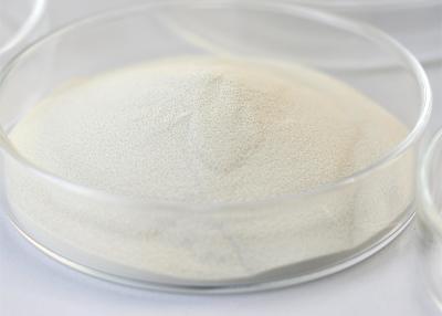 China BESTHWAY BXW22 Starch Enzyme Powder - 100,000 U/g Activity for Baking & Brewing Industries for sale