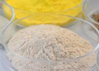 China Hemicellulase Paper Enzymes for Pulp Processing | 30℃-65℃ Temperature Range | pH 5.0-9.0 | Industrial Grade for sale