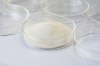 China Food Grade Tannase Enzyme 300-500 U/g for Beverage Clarification 18 Months Shelf Life for sale