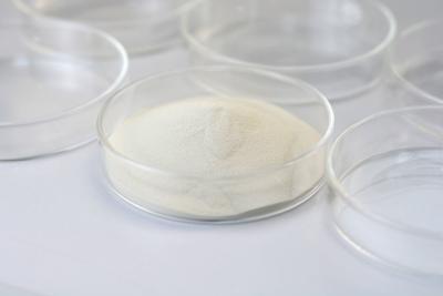 China Food Grade Tannase Enzyme 300-500 U/g for Beverage Clarification 18 Months Shelf Life for sale