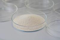 China Industrial Lipase Enzyme Powder & Liquid for Oil Processing | 100,000-800,000 U/g Activity | pH 2.5-11.5 Range for sale