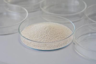 China Industrial Lipase Enzyme Powder & Liquid for Oil Processing | 100,000-800,000 U/g Activity | pH 2.5-11.5 Range for sale