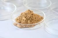 China BESTHWAY Keratinase Industrial Enzyme Powder 10000-200000U/g for Leather & Cosmetics | pH 6.5-10.5, 55-65℃ Operating Range for sale