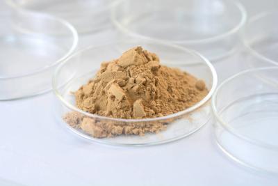 China BESTHWAY Keratinase Industrial Enzyme Powder 10000-200000U/g for Leather & Cosmetics | pH 6.5-10.5, 55-65℃ Operating Range for sale